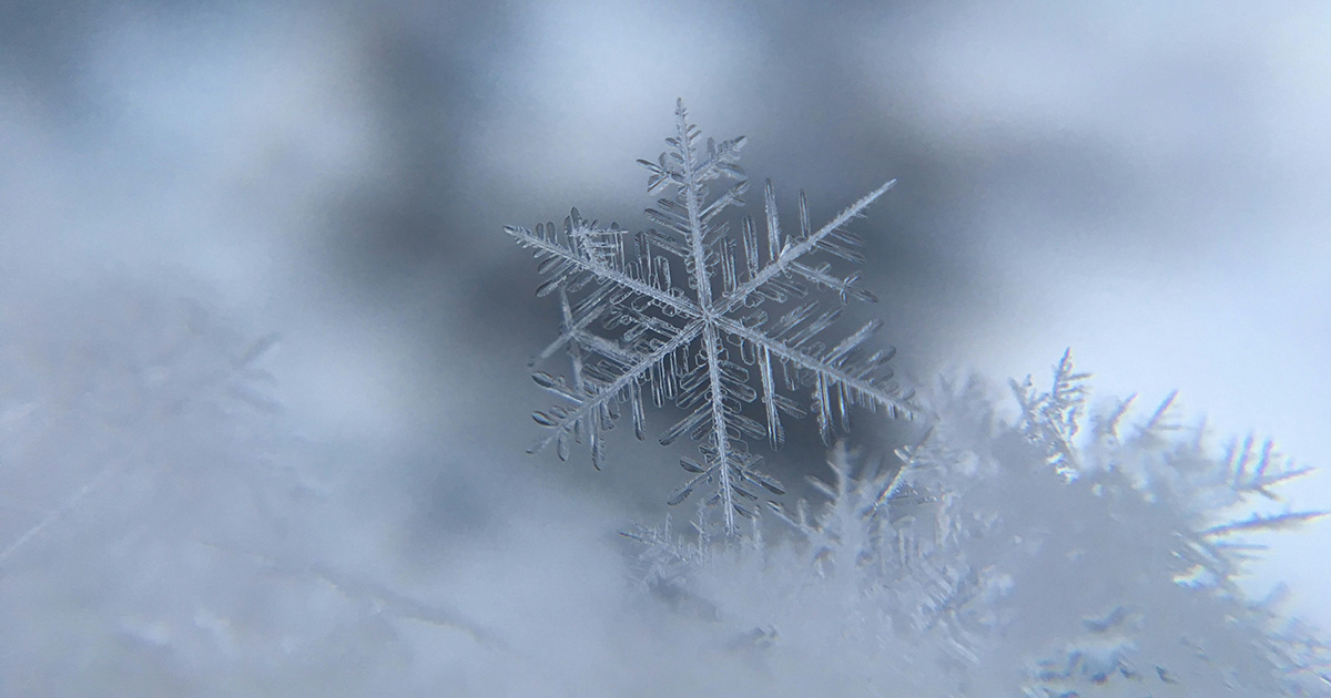 The Physics of Snowflakes: Why Flakes Have Six Sides and None Are Alike ...