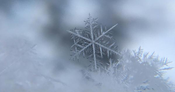 The Physics of Snowflakes: Why Flakes Have Six Sides and None Are Alike ...