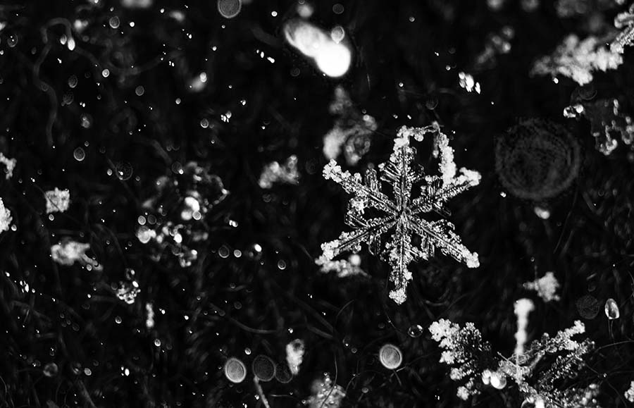 The Physics of Snowflakes: Why Flakes Have Six Sides and None Are Alike ...