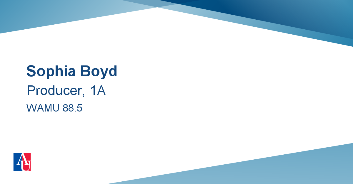 Profile Sophia Boyd | American University, Washington, DC