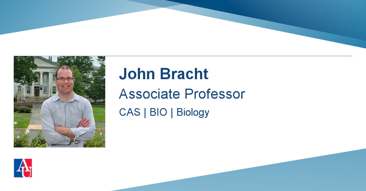 Faculty Profile: John Bracht | American University, Washington, DC