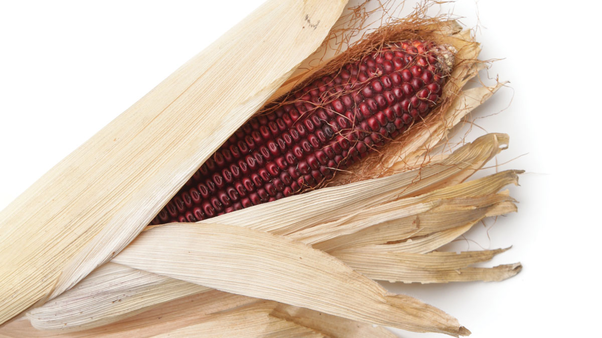 Q&A: A More Inclusive Thanksgiving | American Magazine | American ...